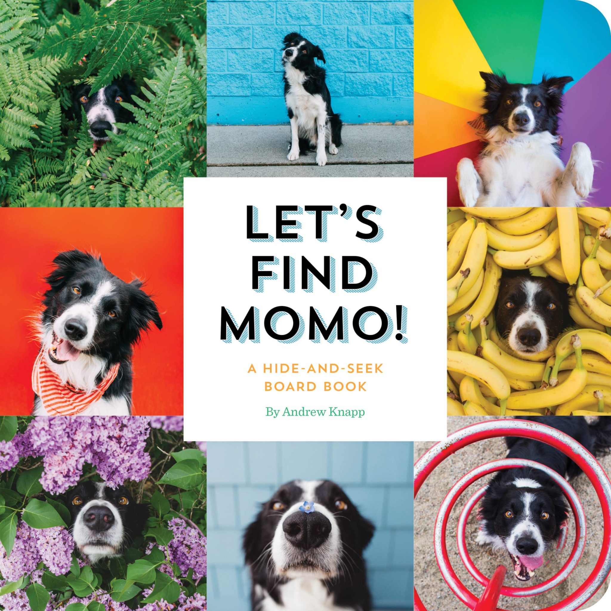 The Best Seek-and-Find Books for Little Kids - The Picture Book Pages